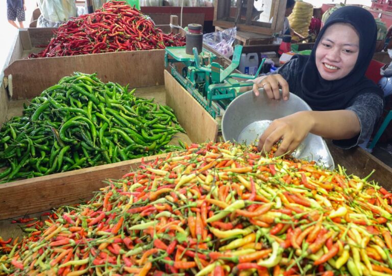 Harga Cabai Rawit di Kediri Tembus Rp75 Ribu per Kilogram – KilasJatim.com